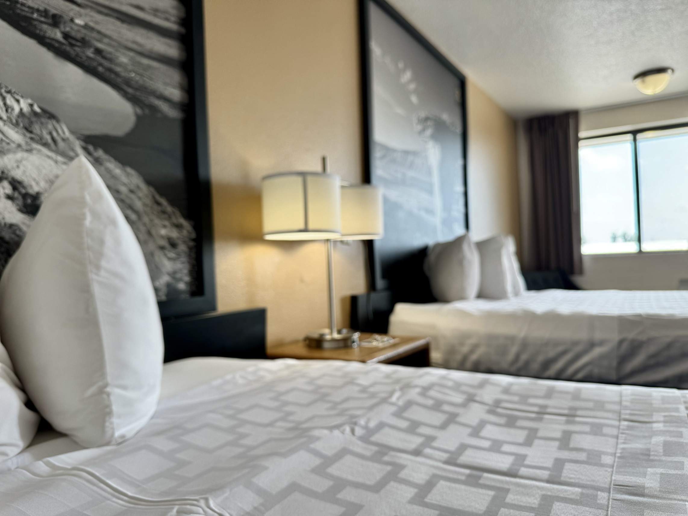 Hotel Official Website | Book Direct